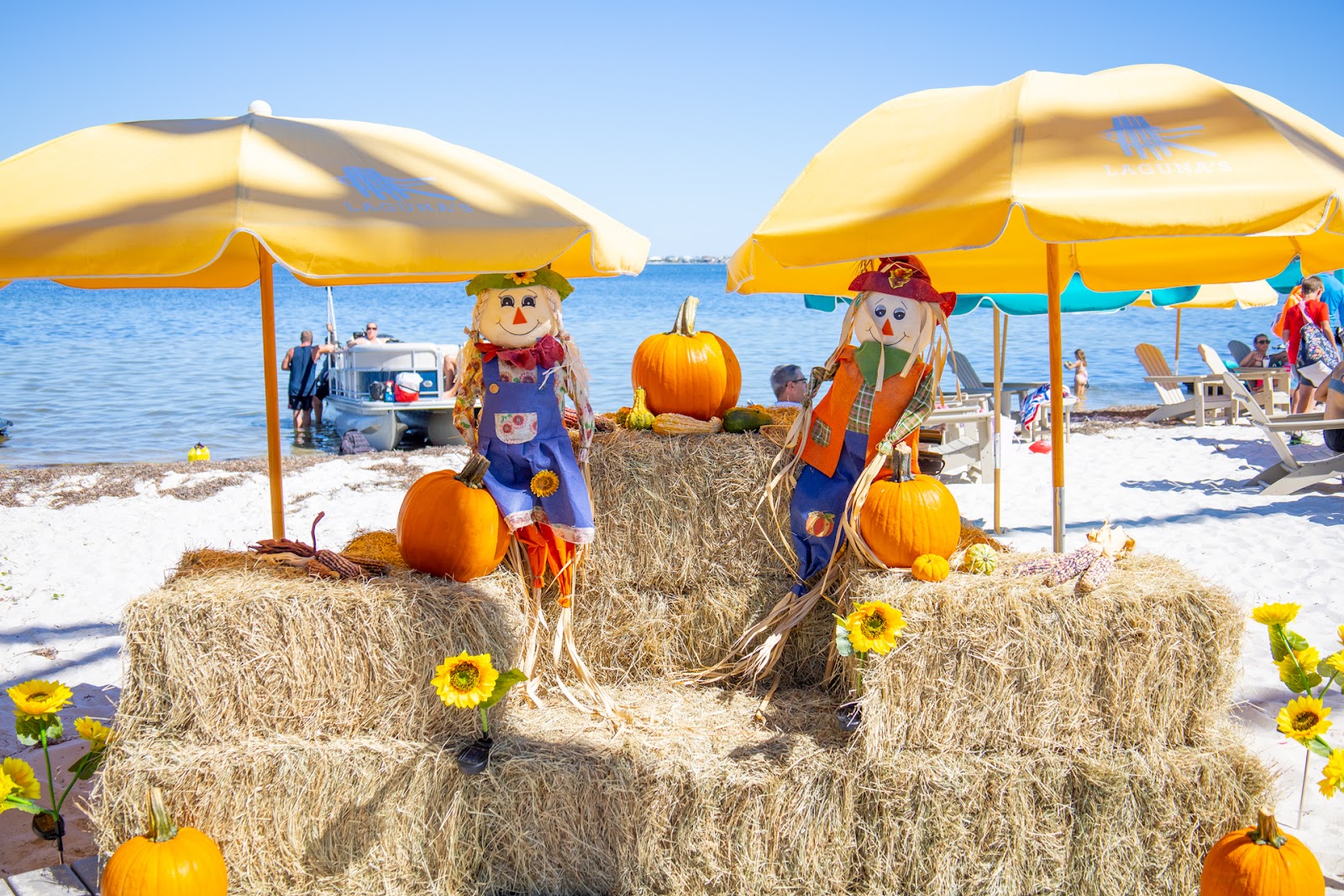 Discover Fall in Pensacola, Florida | Premier Island Managment